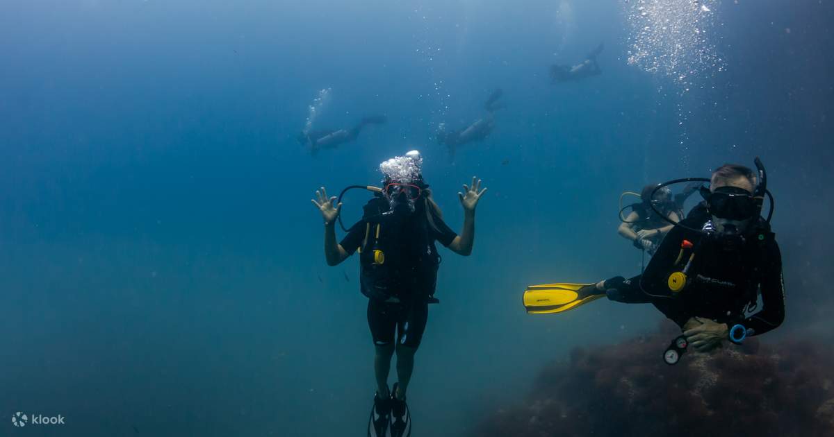 Try Scuba Diving in Koh Phangan with PADI 5 Star IDC Resort - Explore ...