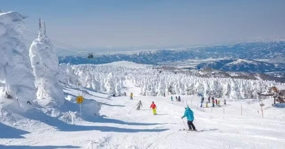 Zao Onsen Ski Resort Lift Ticket - Klook New Zealand