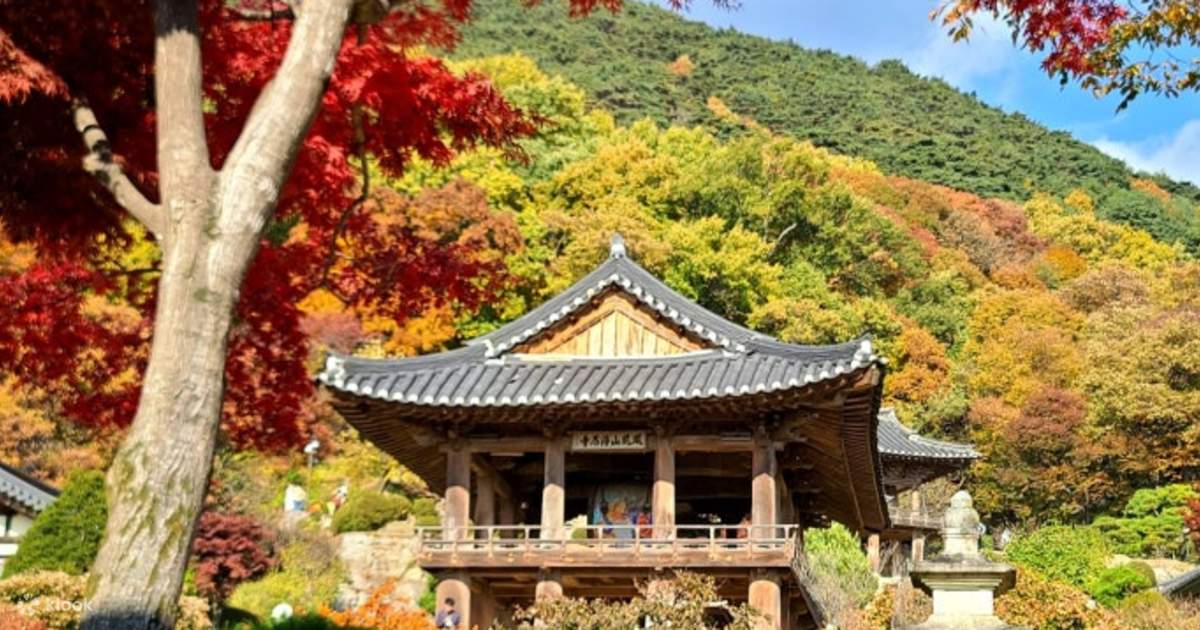 Yeongju Private Taxi Tour by KTX - Klook Malaysia