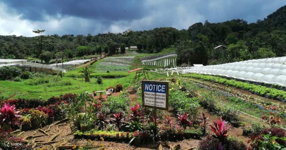 Highlands Tour in Davao - Klook