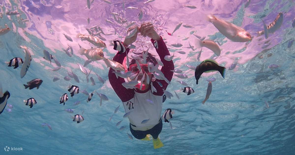 Saipan Kayaking & Snorkeling Adventure in Paupau Beach - Klook Philippines
