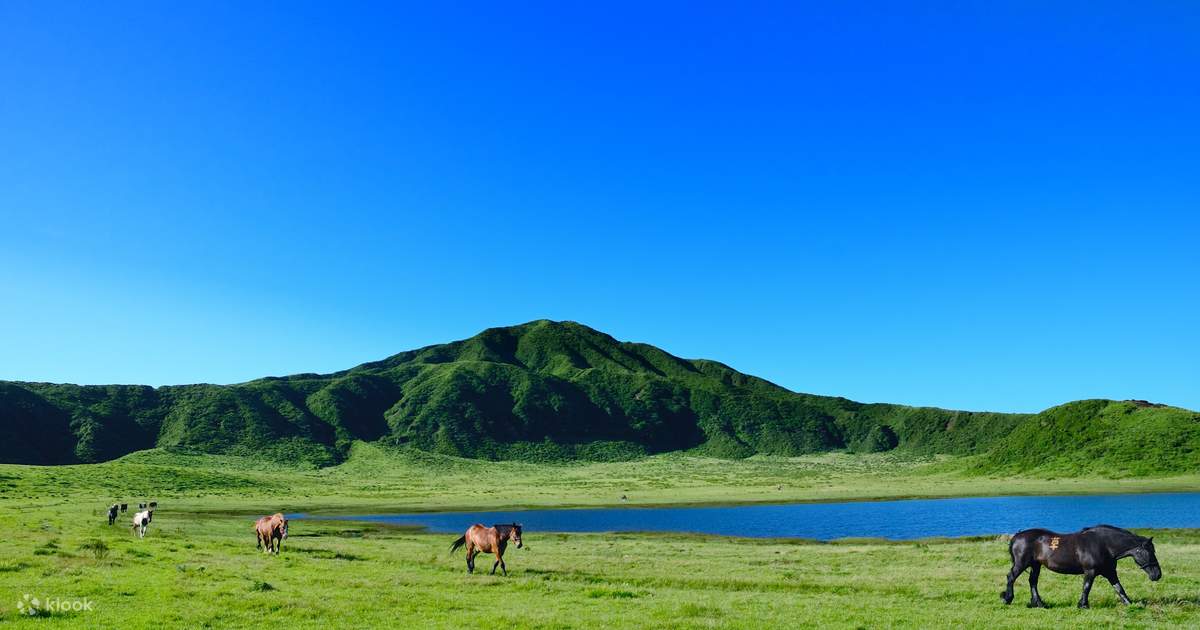 Online Reservation for Kusasenri & Mt.Aso Day Tour - Klook United States