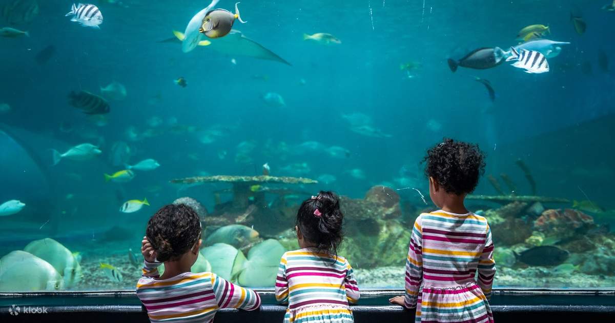 Manila Ocean Park E-Ticket in Manila, Philippines - Klook Philippines