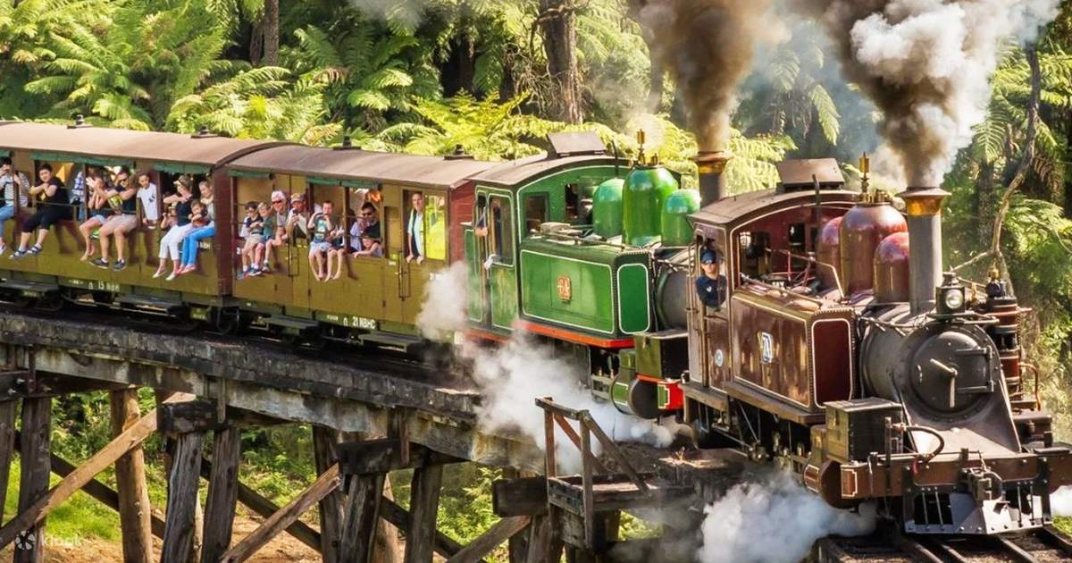 Puffing Billy Steam Train & Penguin Parade: Day Tour in Melbourne ...