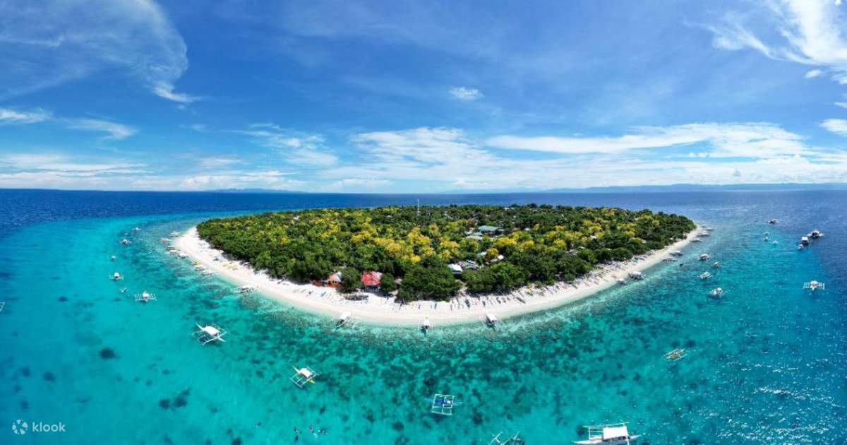 Experience Dolphin Watching, Island Hopping, and Snorkeling with Fish ...