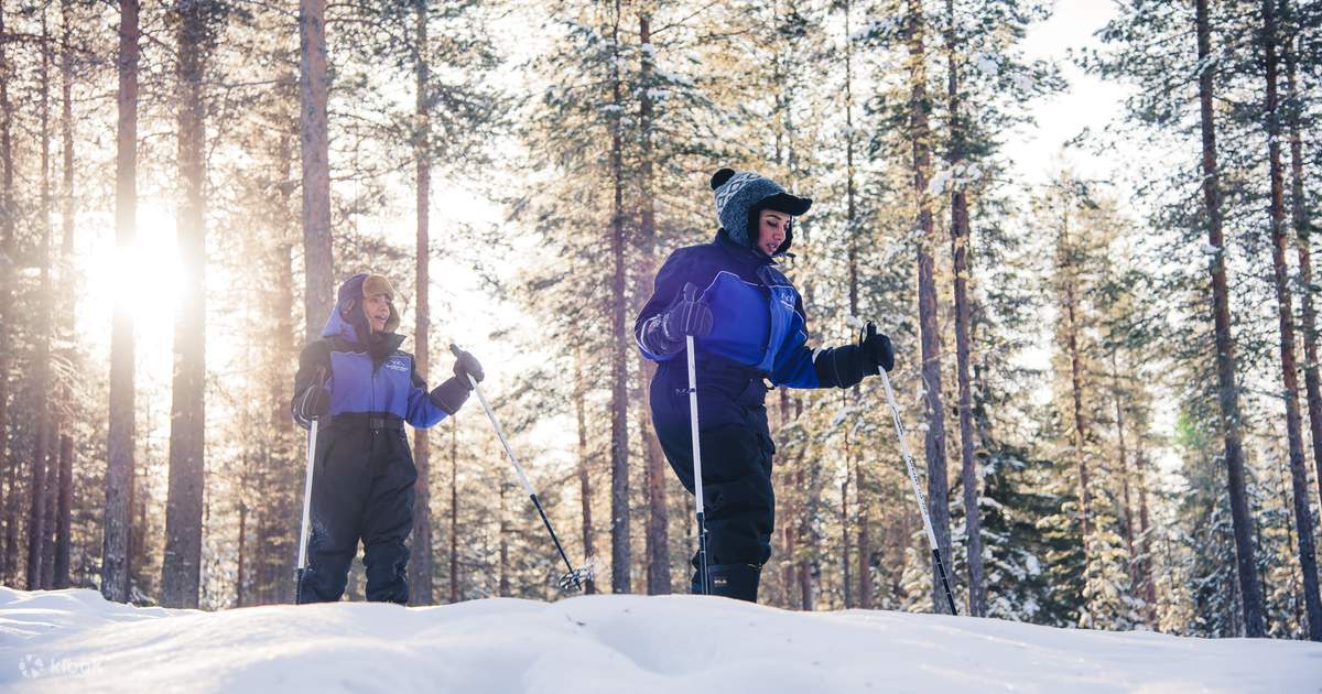Ski Trekking Safari through the Snowy Taiga Forests of Lapland - Klook