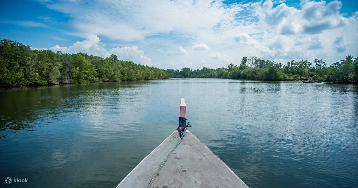 Mangrove River Tour - Klook Canada