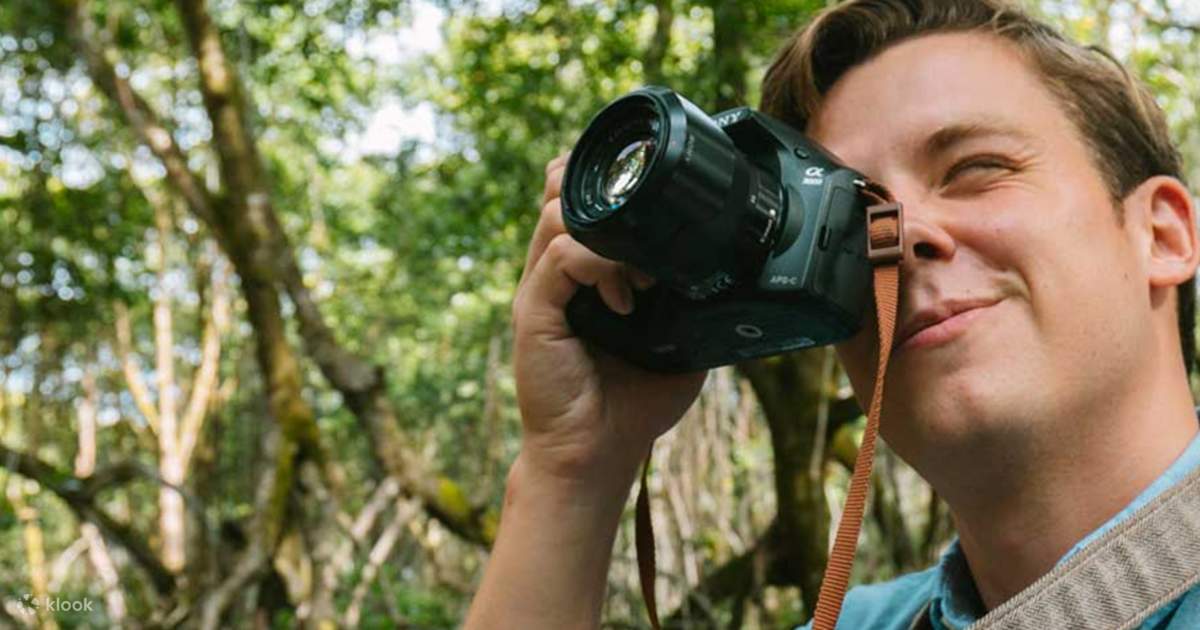 Proboscis Monkey Encounter Tour in Brunei | Klook