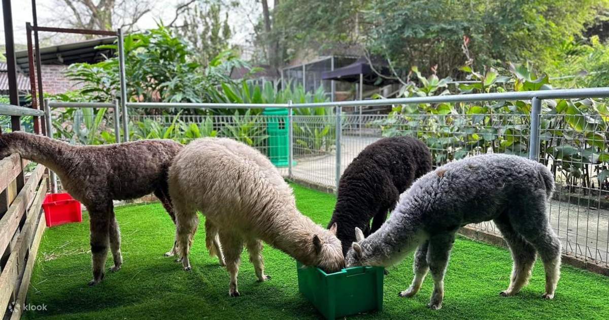 G2G Animal Garden Ticket at Serdang Selangor - Klook Malaysia