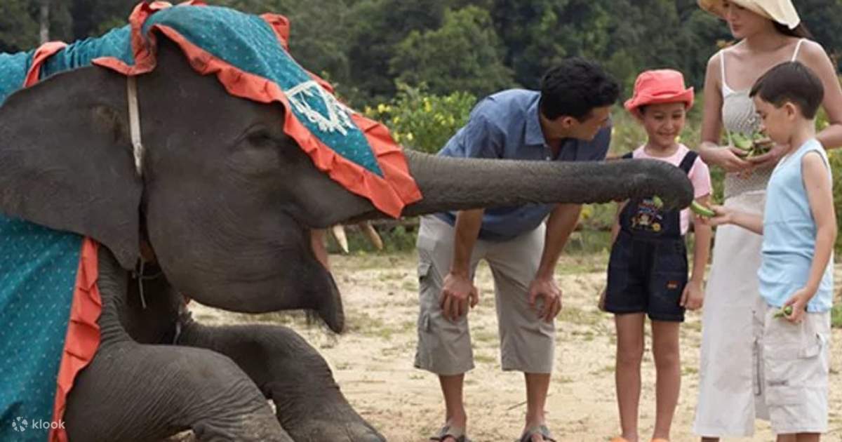 Safari Lagoi & Eco Farm Tour - Klook Singapore