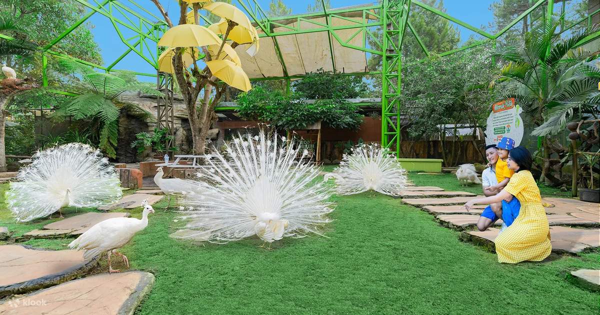 Eco Active Park Ticket in Malang - Klook Singapore