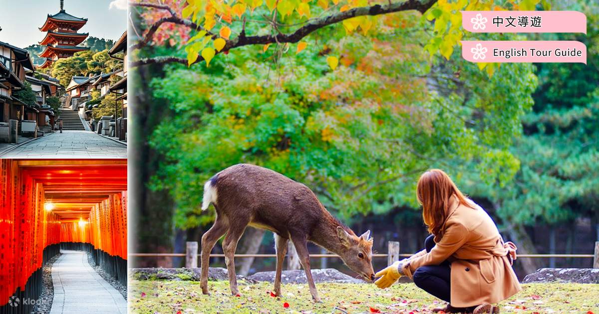 Kiyomizu-dera Temple, Fushimi Inari Shrine, and Nara Park Day Tour ...