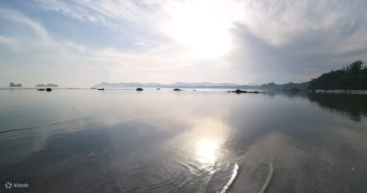 90 Minutes Beach and Tide Pool Walk in Desaru Walking Tour - Klook ...