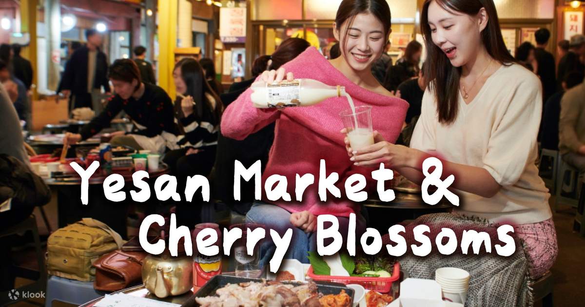 Yesan Paik Jong Won Market x Gakwonsa Temple Cherry Blossom Tour - Klook
