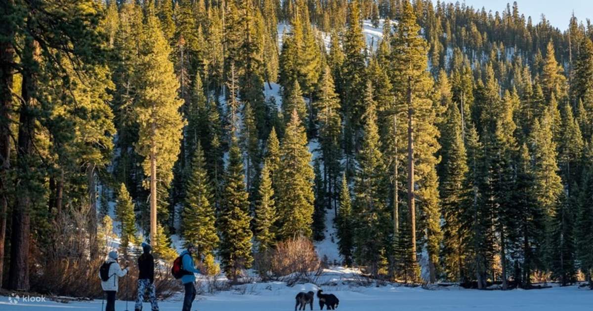 Beginner Sunset Snowshoe Tour in Lake Tahoe - Klook