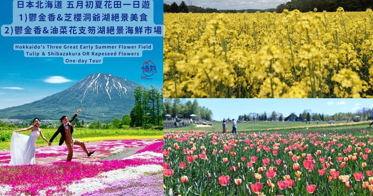 Tour in autobus di un giorno a Sapporo - Klook Stati Uniti