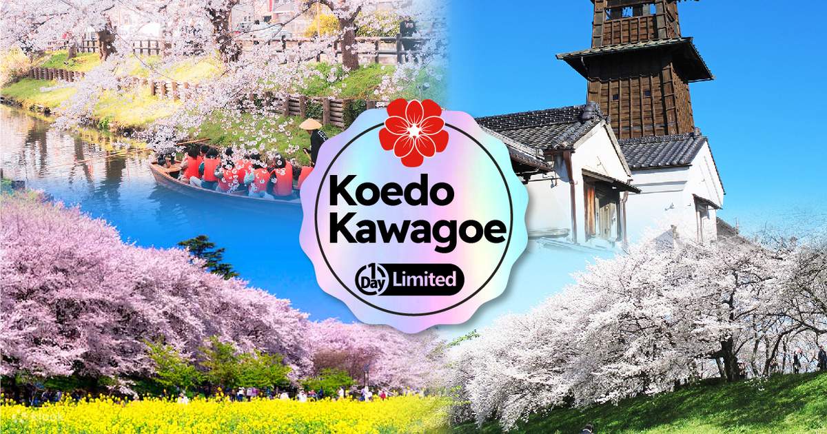 [Sakura Season Limited Kawagoe Cherry Blossom Viewing] Saketsu Gongendo ...