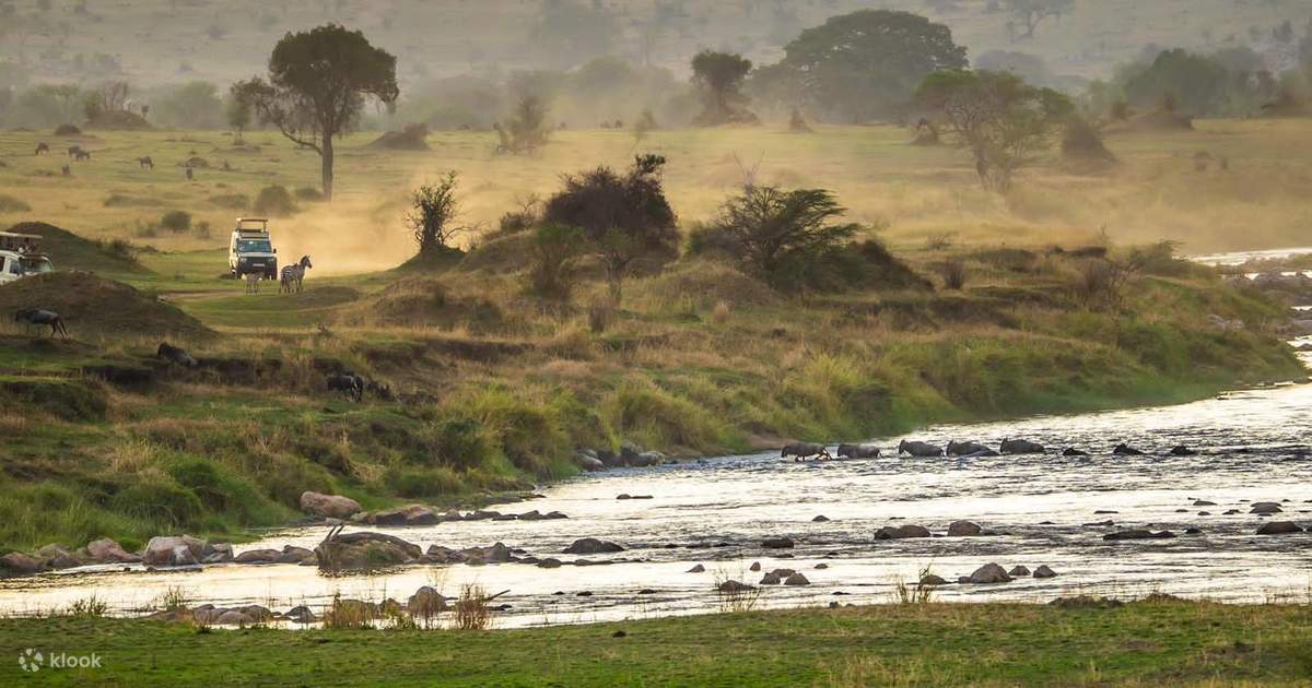 Canoeing Momella Lake in Arusha National Park: An Unforgettable ...