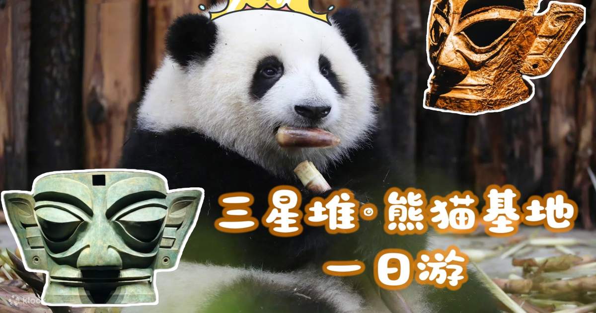 Sichuan Chengdu + Giant Panda Base + Sanxingdui Boutique 1-Day Tour ...