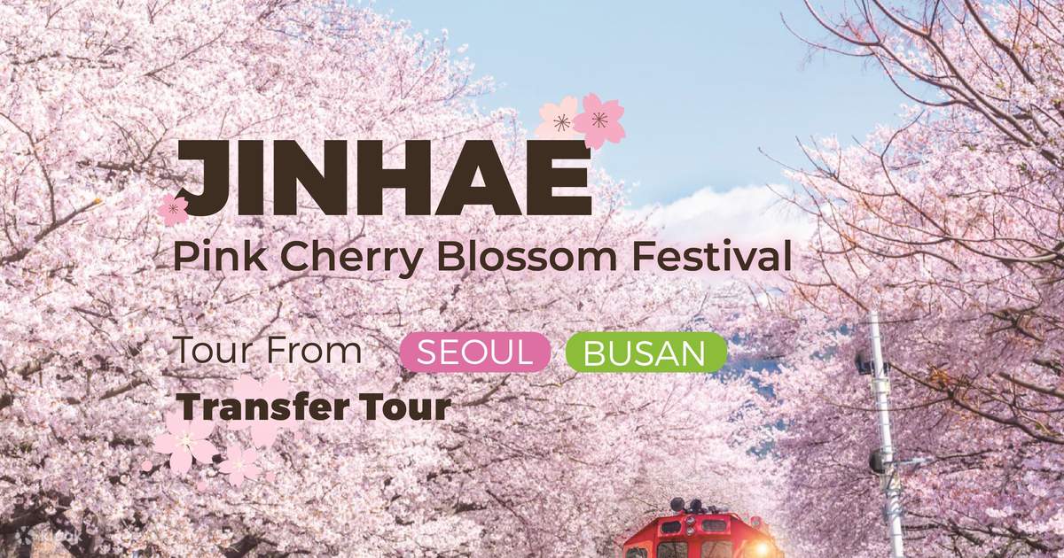 Jinhae Cherry Blossom Tour from Busan - Klook Philippines