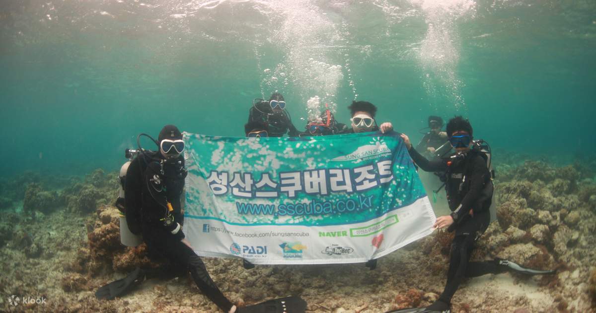 Jeju Island Scuba Diving Experience - Klook
