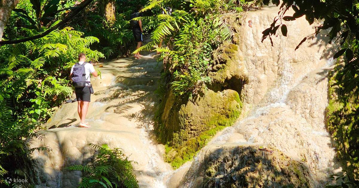 Participez à la visite d'une demi-journée de la cascade collante de ...