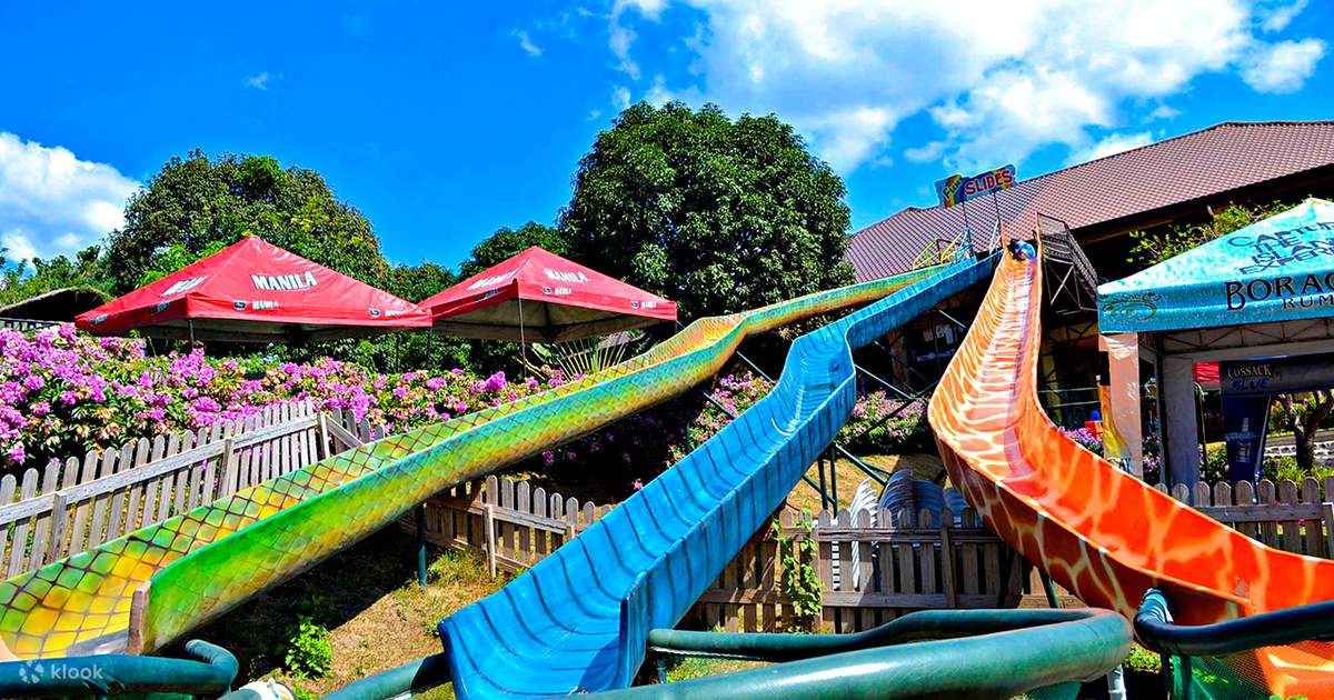 Zoocobia Fun Zoo Ticket in Clark - Klook Philippines