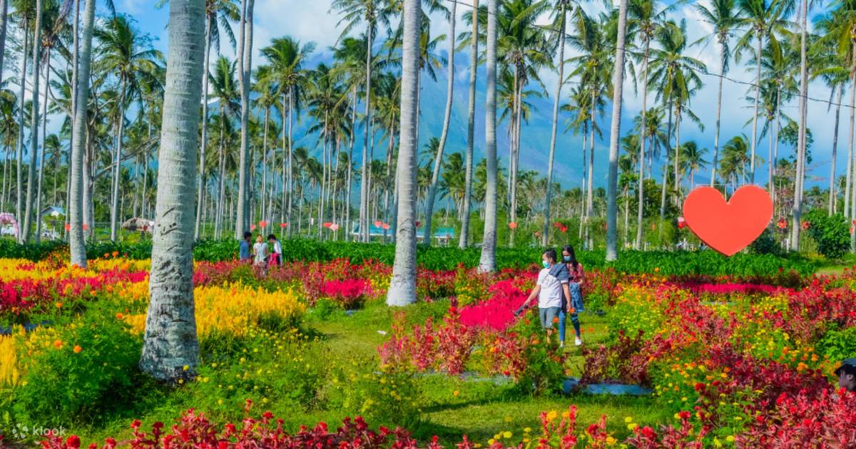 Private Bicol Culinary Tour with Farmplate - Klook Philippines