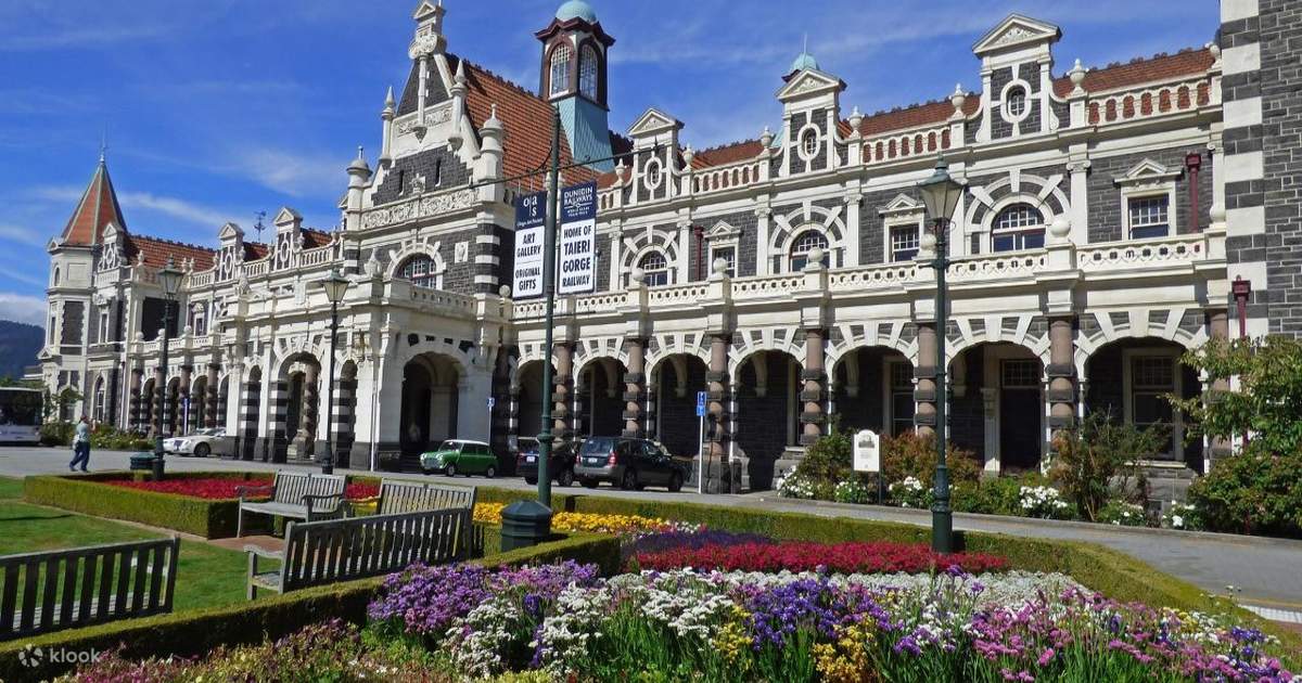 Dunedin to Invercargill via the Catlins One-way Tour - Klook New Zealand