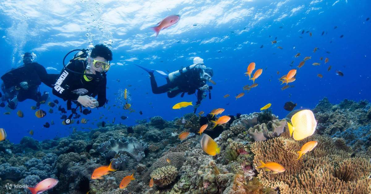 Hengchun Kenting｜Experience diving, tourist diving, diving courses ...