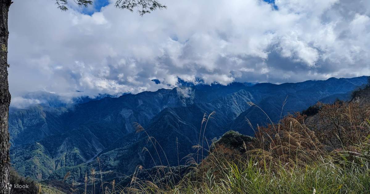 Chiayi | Alishan Sun Moon Lake Three-Day Tour | Departing from Taipei ...