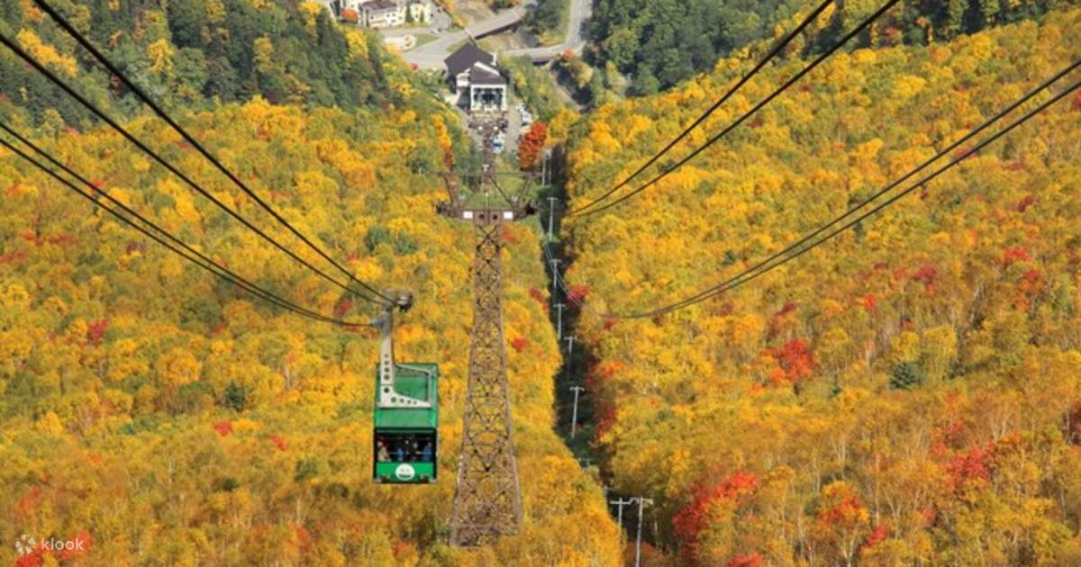 2 days 1 night Kurodake Ropeway & Milky Way・Meteor Falls & Cape Notoro ...