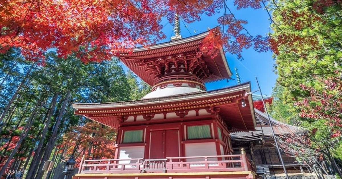 Okunoin Cemetery One-day Autumn Tour - Klook
