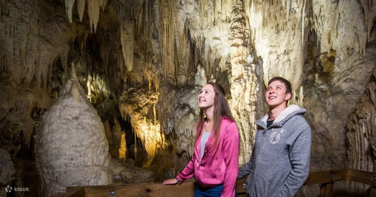 Auckland to Rotorua Tour via Waitomo Caves - Klook