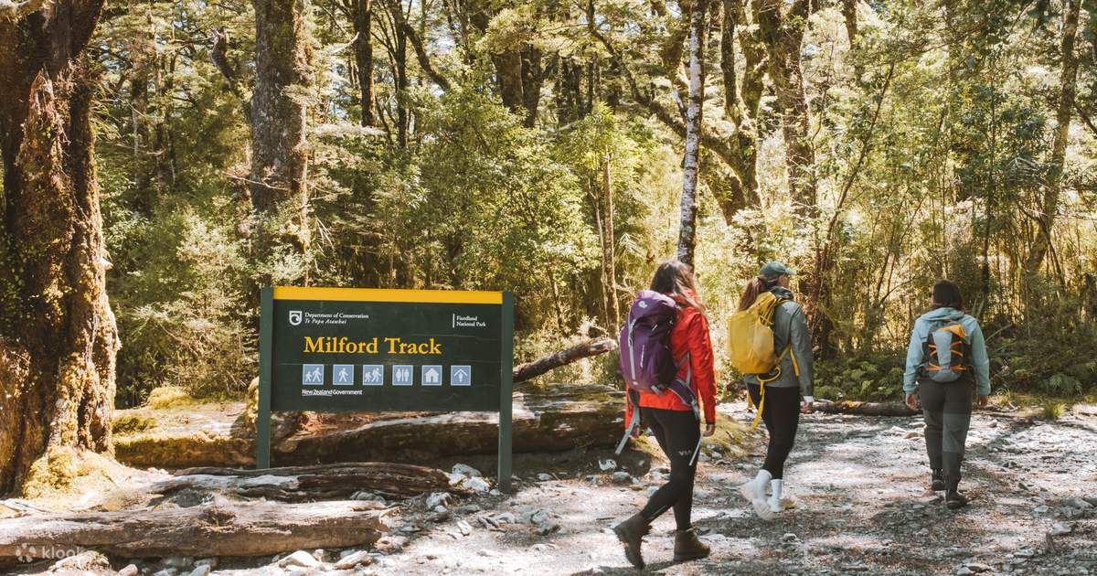 Milford Track Day Walk Tour from Lake Te Anau - Klook United Kingdom