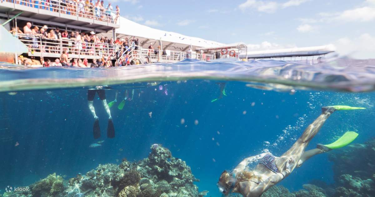Great Barrier Reef Marine World Pontoon Cruise Tour from Cairns | Klook