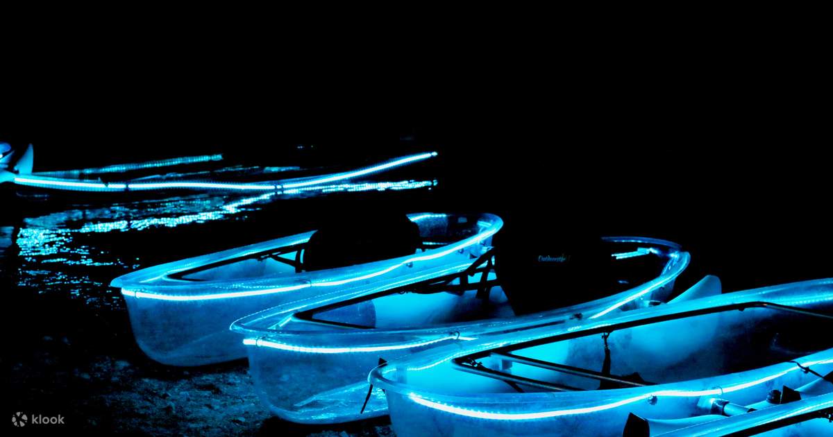 Las Vegas Neon Lights Clear-View Kayak Night Tour on the Colorado River ...