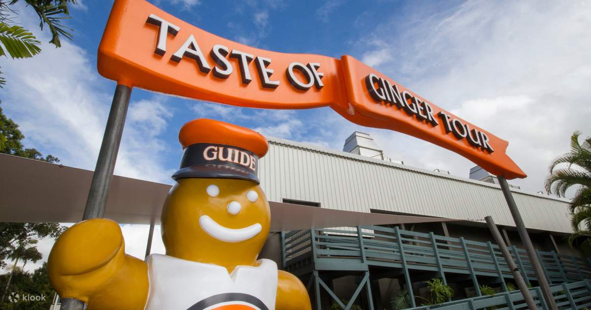 The Ginger Factory Tour And Tasting in Sunshine Coast - Klook United States