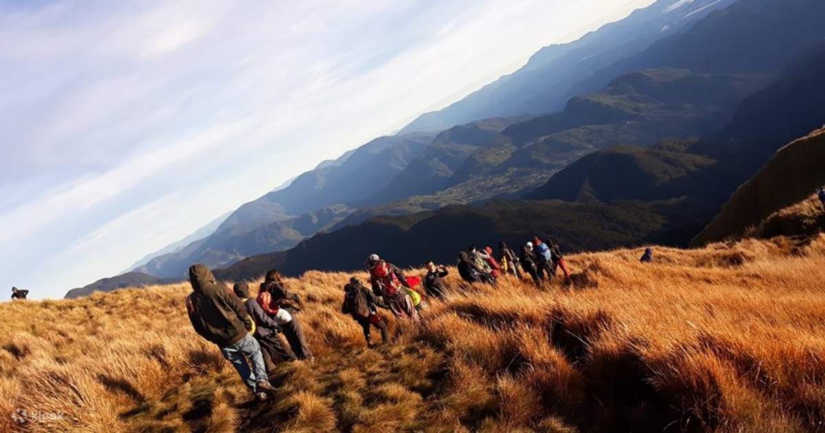 2D1N Mount Pulag Hiking and Camping Experience - Klook Philippines