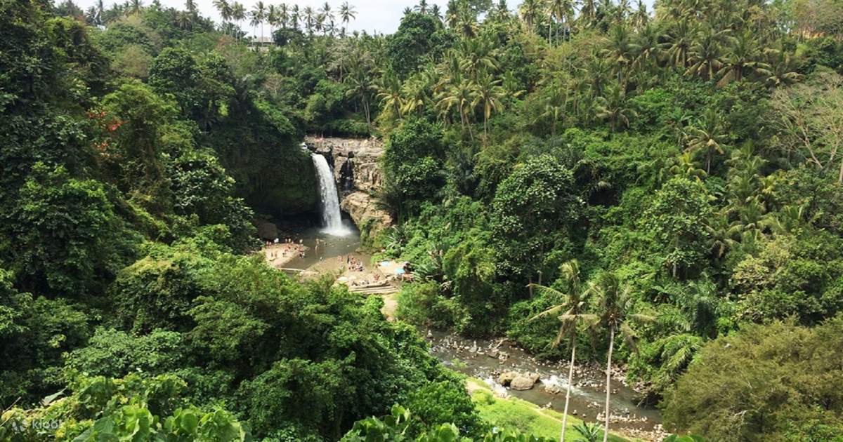 Highlights of Bali Private 2 Days Tour - Klook