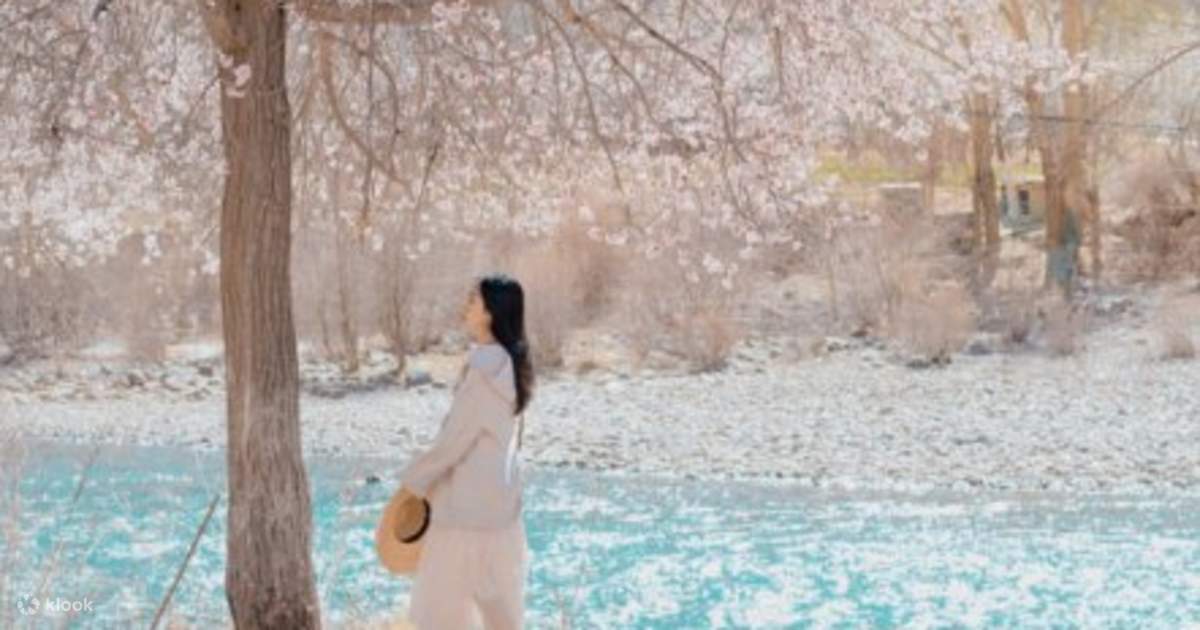 8 days and 7 nights in Xinghui Pamir in southern Xinjiang - Klook États ...