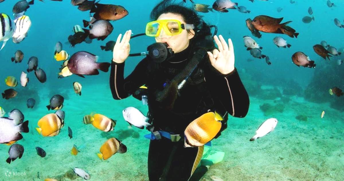 參加潛水和浮潛游船之旅，探索馬卡迪灣的水下奇觀 Klook 客路