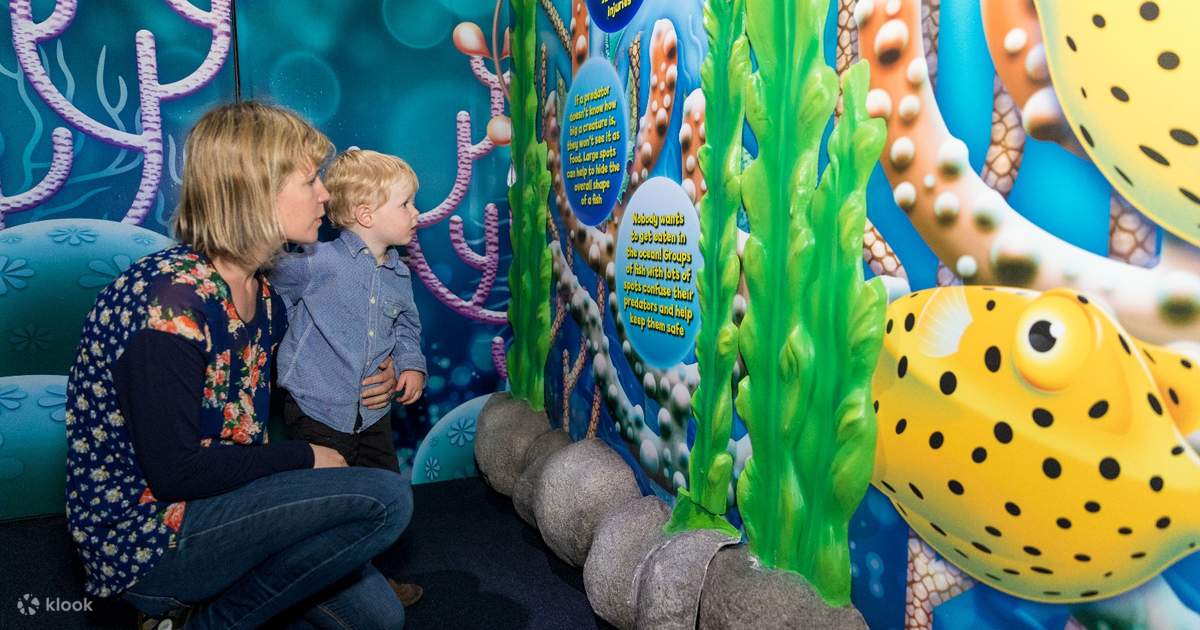 Kelly Tarlton's SEA LIFE Aquarium Ticket in Auckland - Klook New Zealand