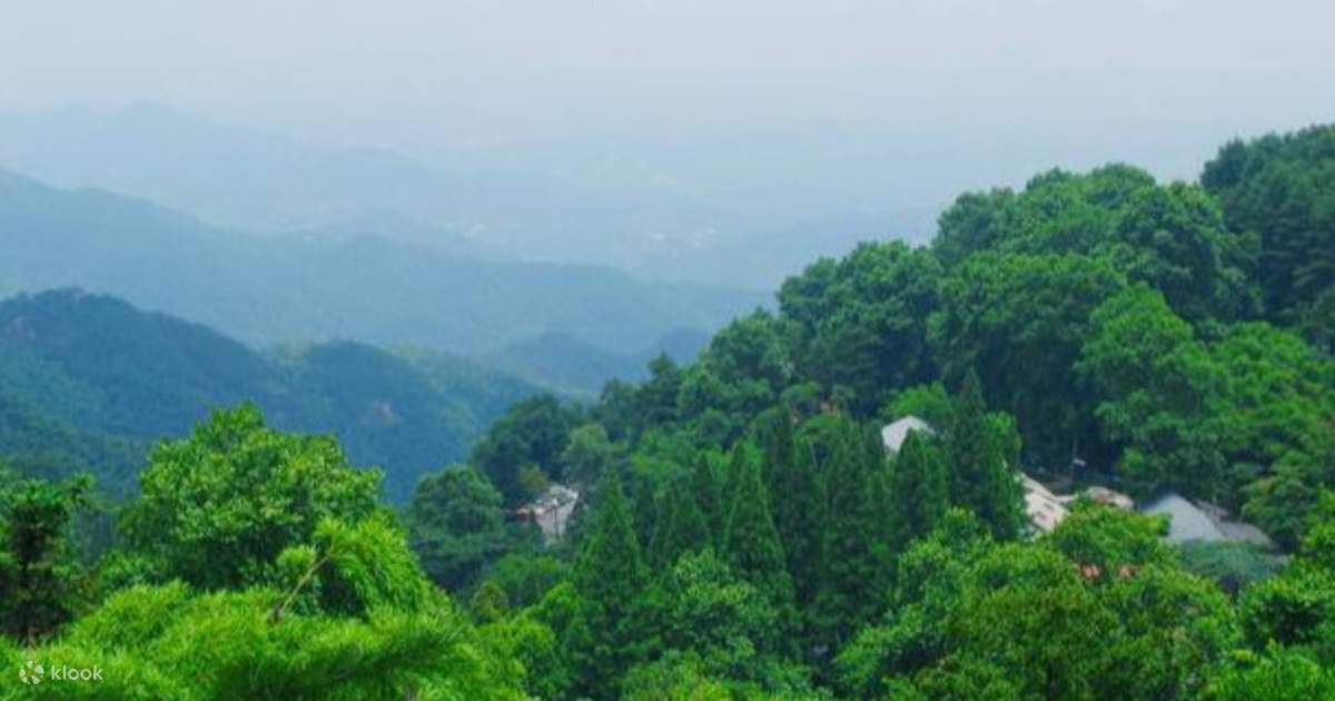 Mount Mogan Hiking Day Tour from Hangzhou - Klook New Zealand