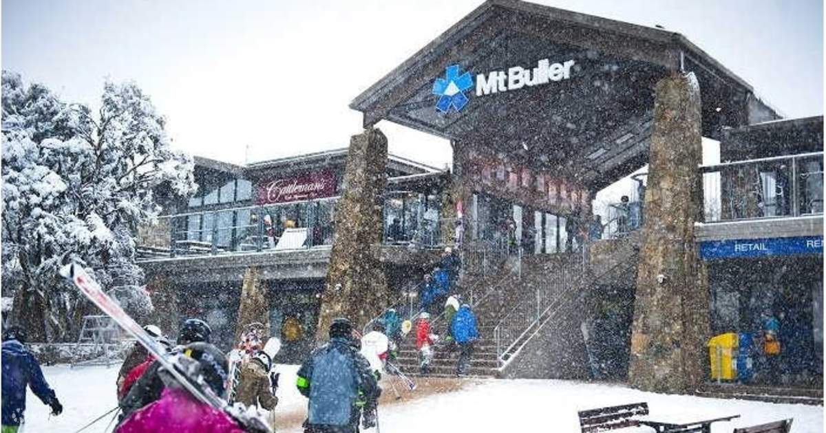 Mount Buller Snow One Day Tour - Klook Singapore
