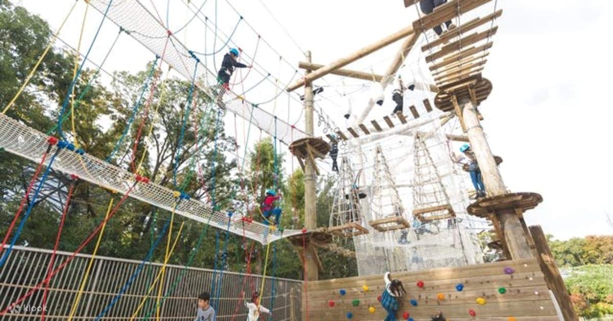 Panza Tenshiba I: Na Bouldering Experience in Osaka - Klook