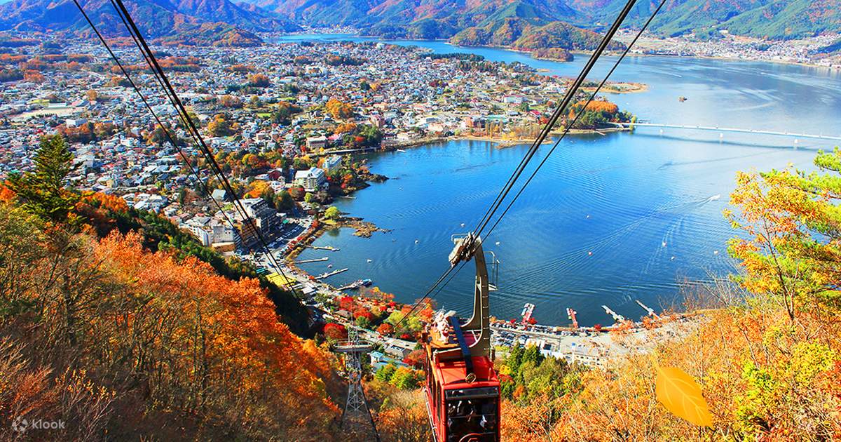 Mount Fuji Popular Photo Spot & Flower Viewing Day Trip | Lake ...