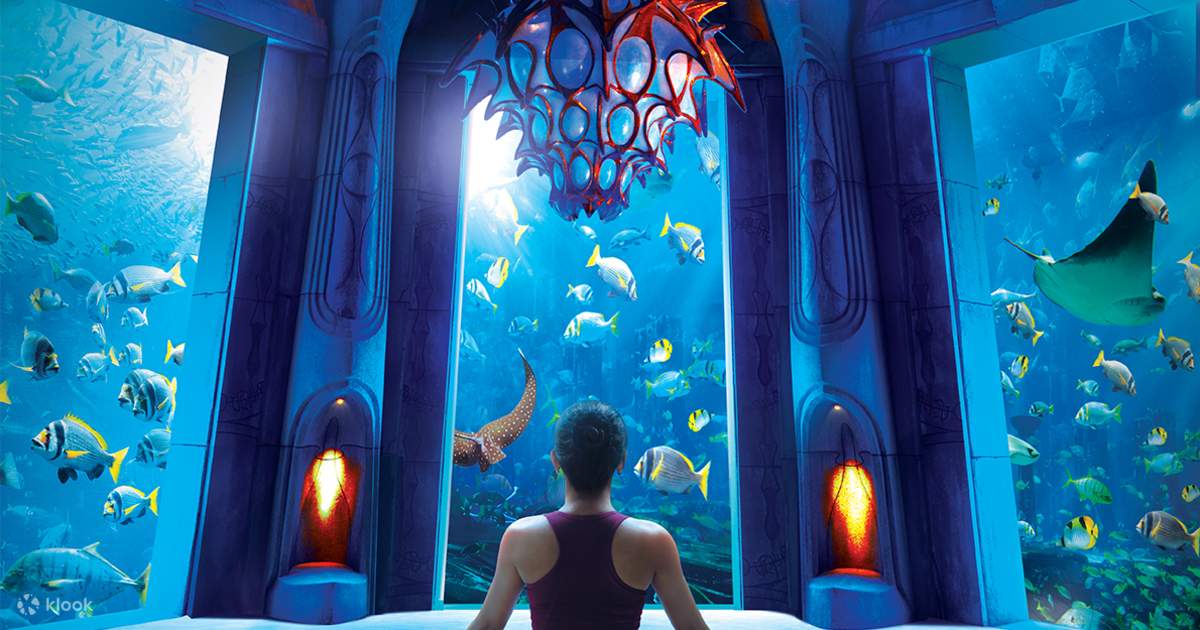 亞特蘭蒂斯水世界冒險樂園門票含失落的空間水族館門票 Klook香港