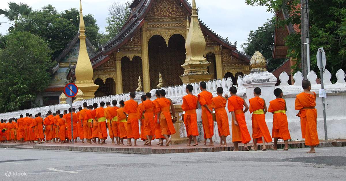 Morning Alms Giving Experience | Klook アメリカ