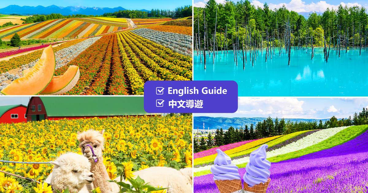 Roller Coaster Road & Biei Blue Pond & Shikisai no Oka & Farm Tomita ...